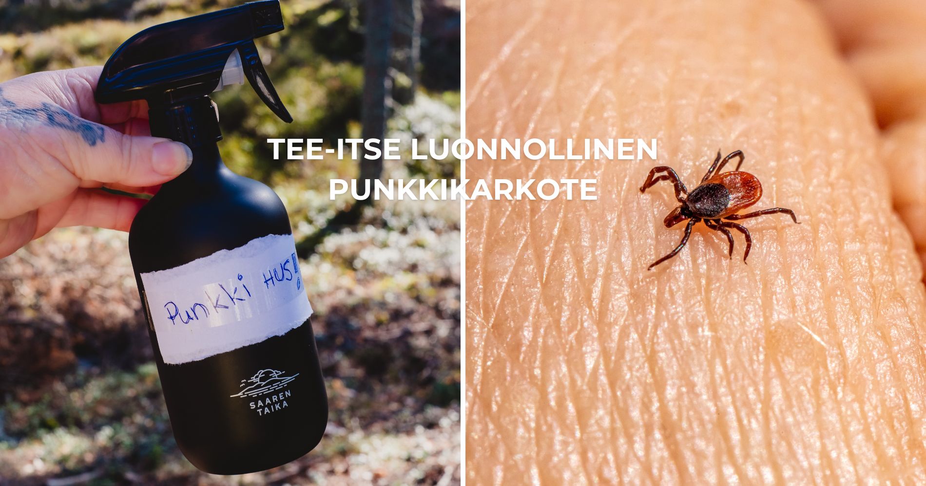 Punkki Hus! Tee-itse tehokas ja luonnollinen punkkikarkote - Saaren ...