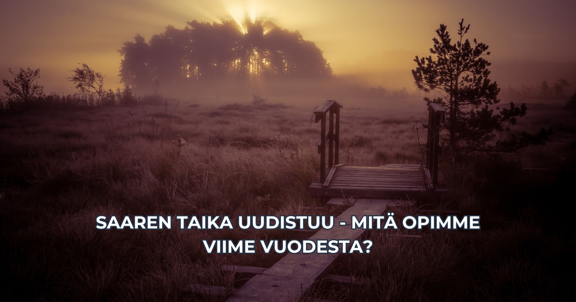 Toimitusjohtajan päiväkirja: Saaren Taika uudistuu - Mitä opimme viime ...